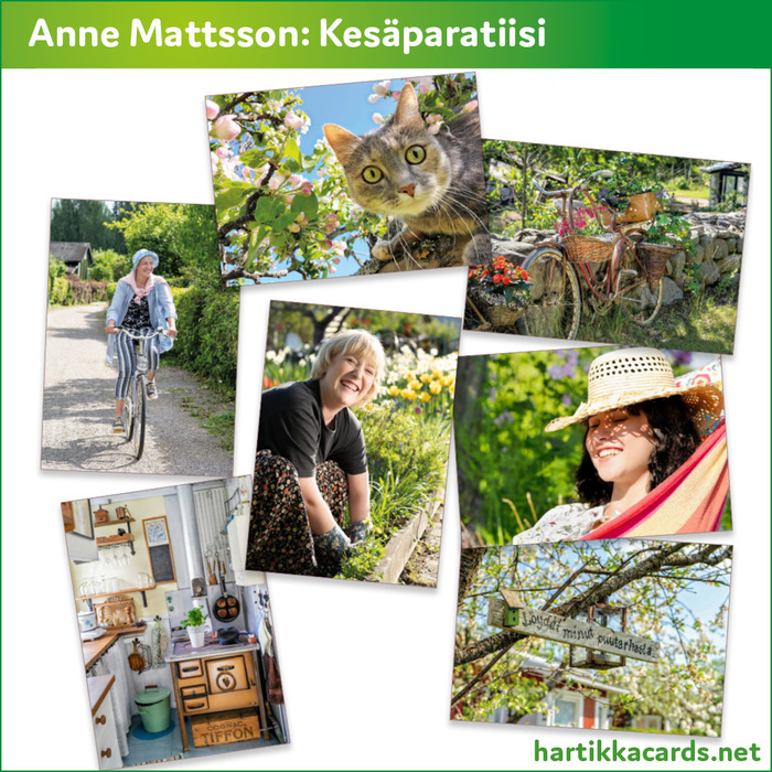 Anne Mattsson: Kesäparatiisi-valikoima 7 kpl